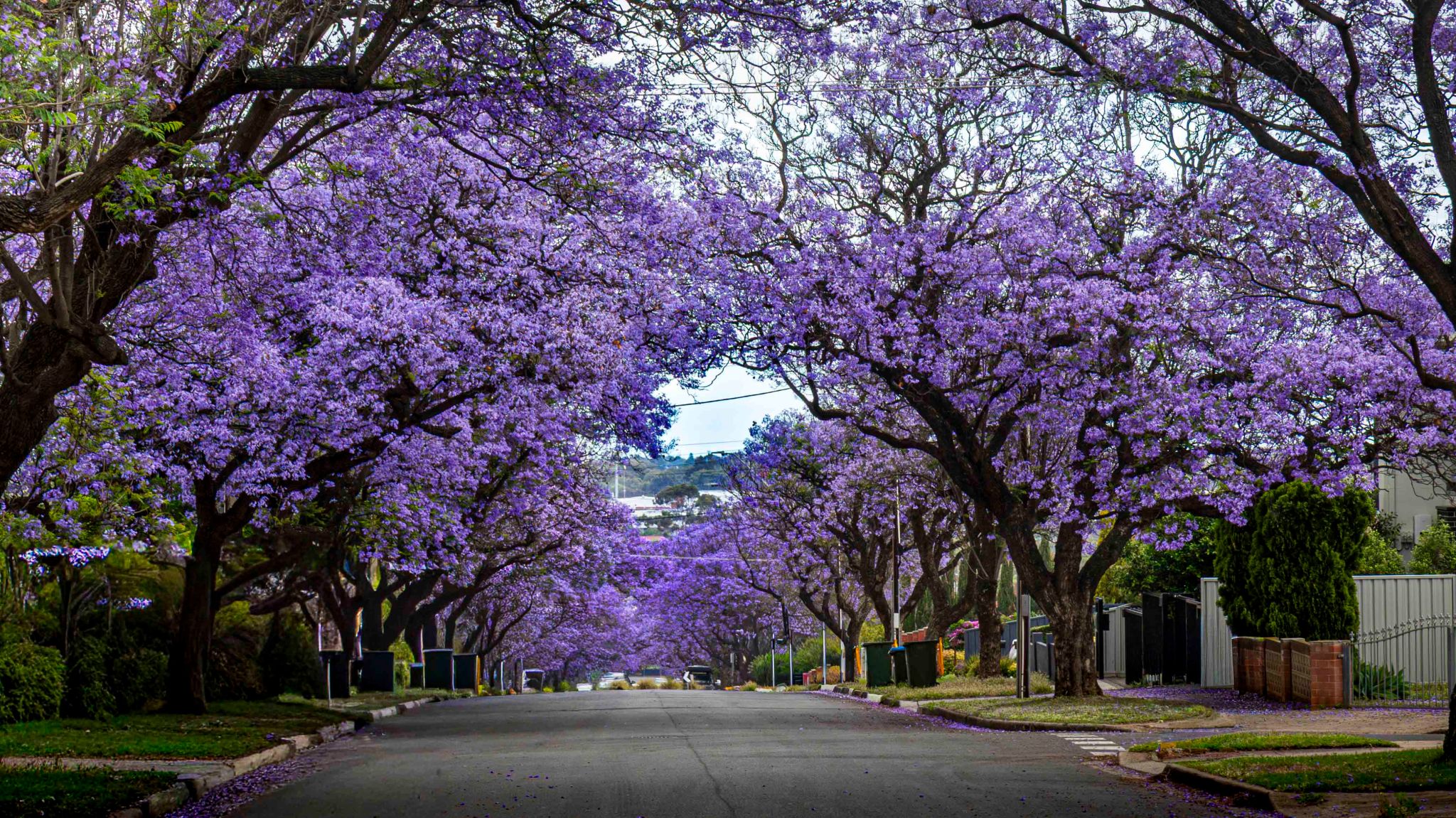 Why I Love November – Wander -Explore – Discover